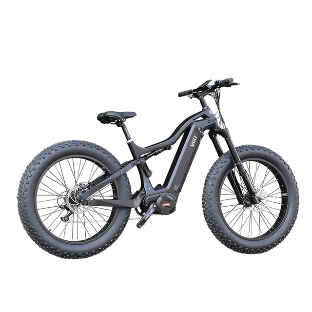 Leading Ebike Conversion Kits & Electric bike Manufaturer - Saili Motor